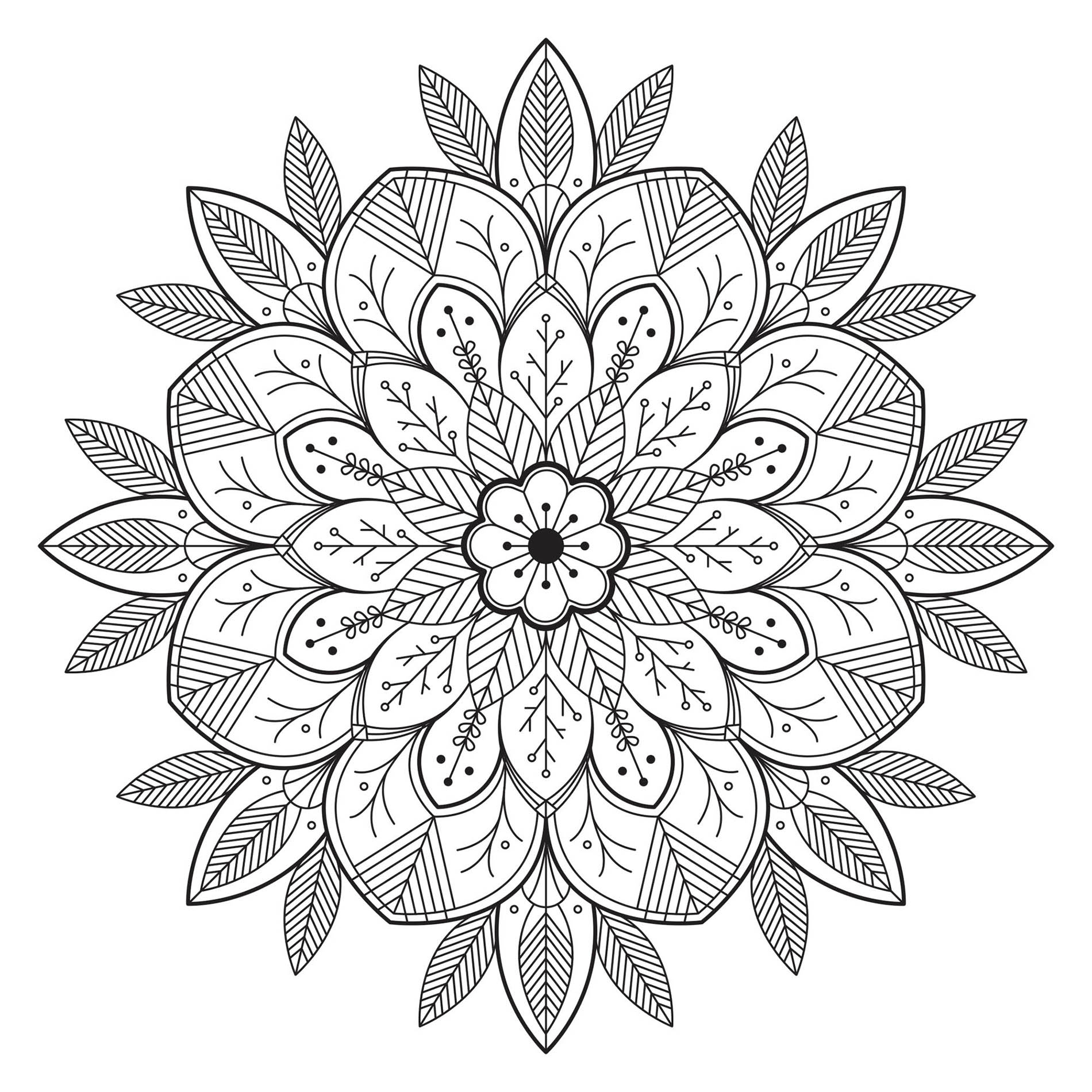 Leaves & Flowers - Mandalas with Flowers & vegetation Leaves & Flowers - Mandalas with Flowers & vegetation